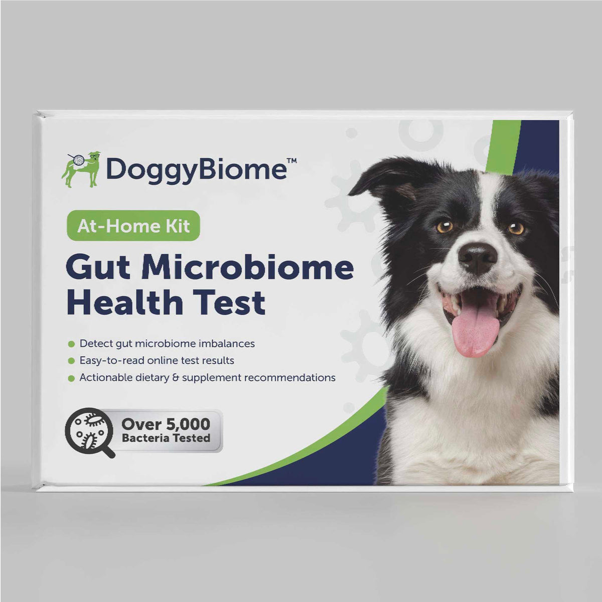 Gut Health Test for Dogs – AnimalBiome