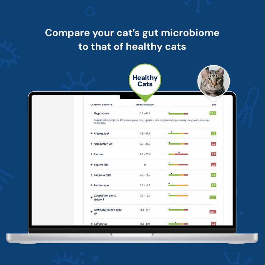 Gut Microbiome Tests | Cats, Dogs, Exotic Animals & Horses – AnimalBiome