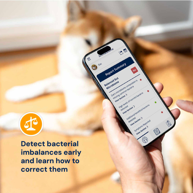 Dog Care, Health and Treatments | AnimalBiome