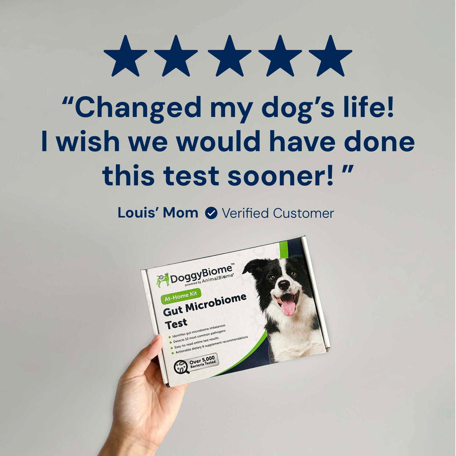 Gut Health Test for Dogs – AnimalBiome