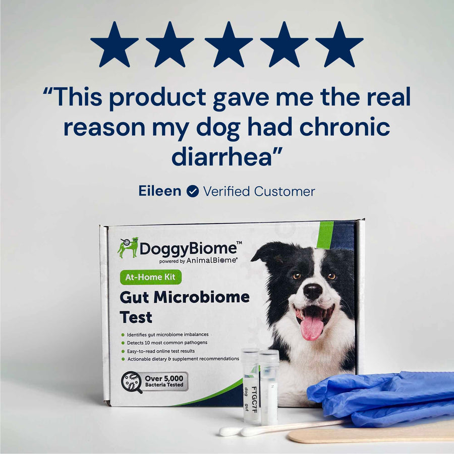 Gut Health Test for Dogs – AnimalBiome