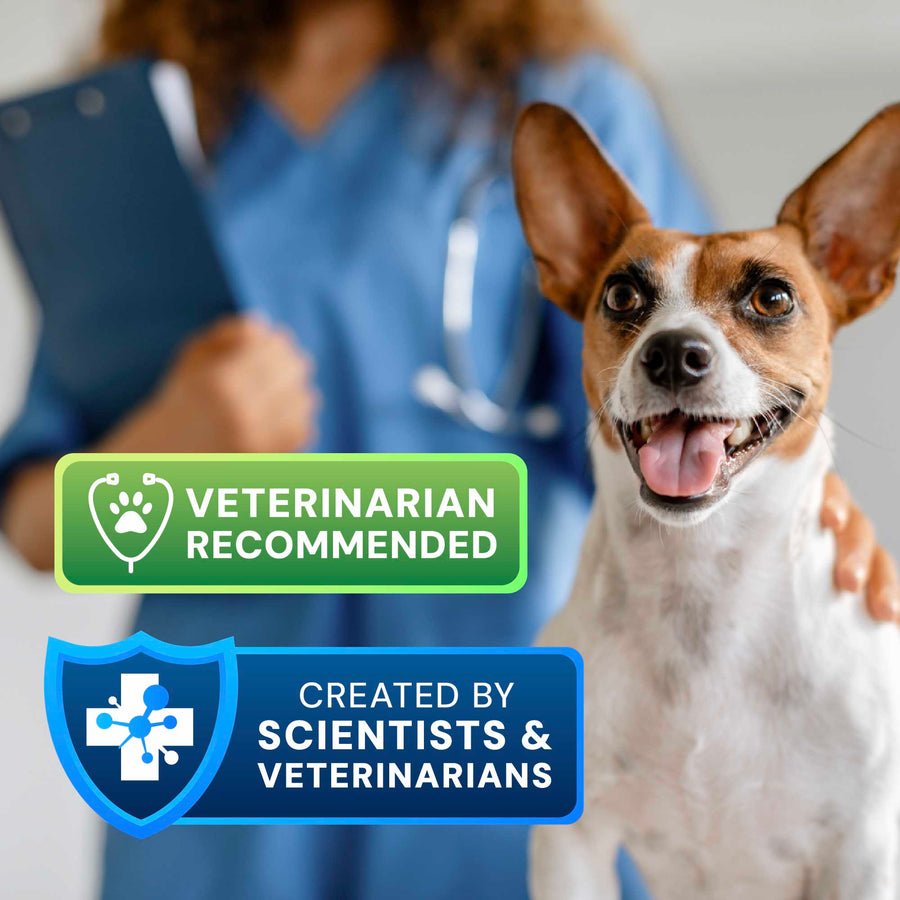 Gut Health Test for Dogs – AnimalBiome