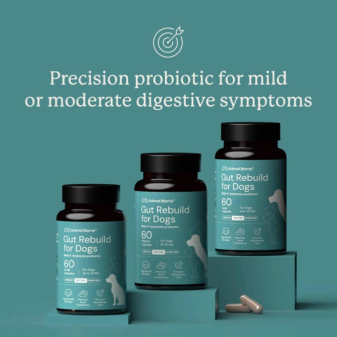Meet P. hiranonis: A Next-Generation Probiotic for Pet Gut Health ...