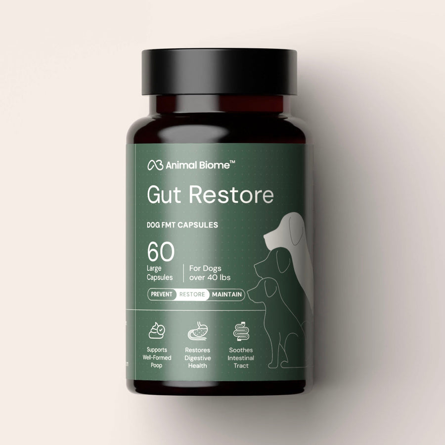 Gut Restore for Dogs – AnimalBiome