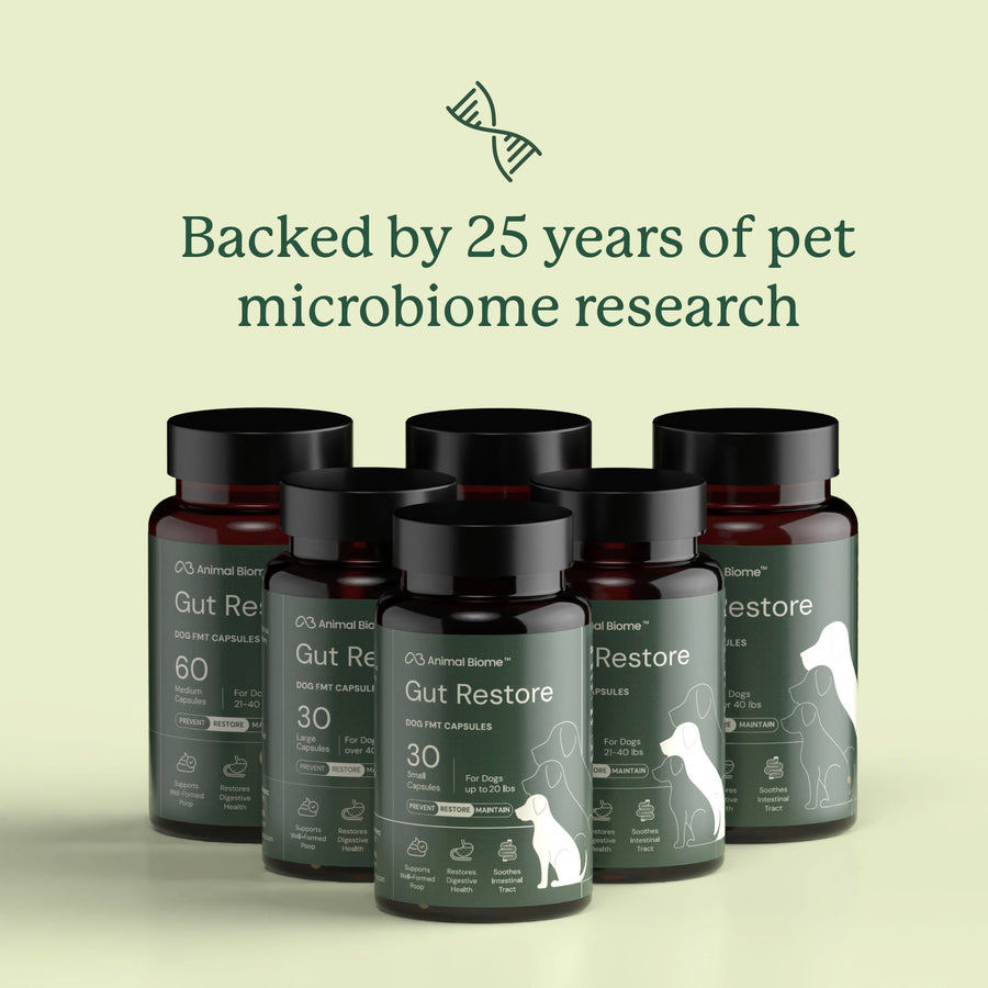 Gut Restore for Dogs – AnimalBiome