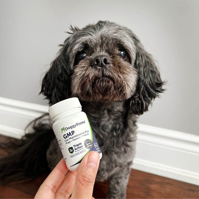 GMP for Dogs – AnimalBiome
