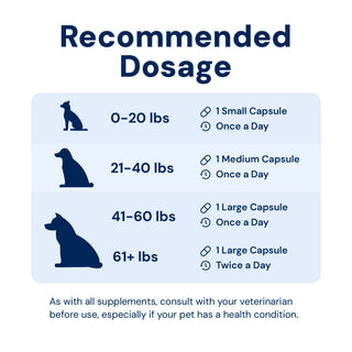 Diarrhea Solutions for Cats and Dogs | AnimalBiome – Tagged "gmp"
