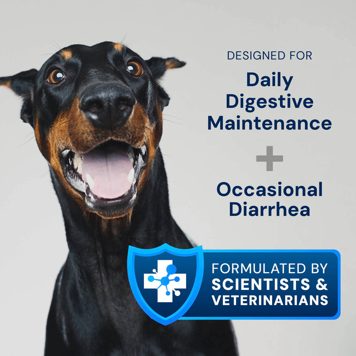 Diarrhea Solutions for Cats and Dogs | AnimalBiome – Tagged "gmp"
