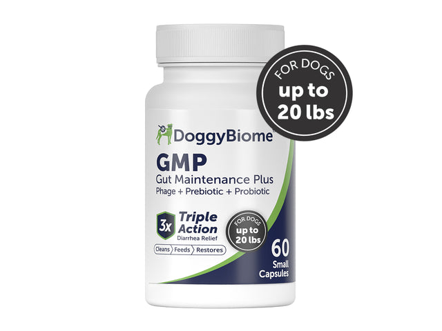 GMP for Dogs – AnimalBiome