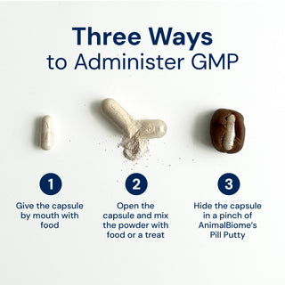 Diarrhea Solutions for Cats and Dogs | AnimalBiome – Tagged "gmp"