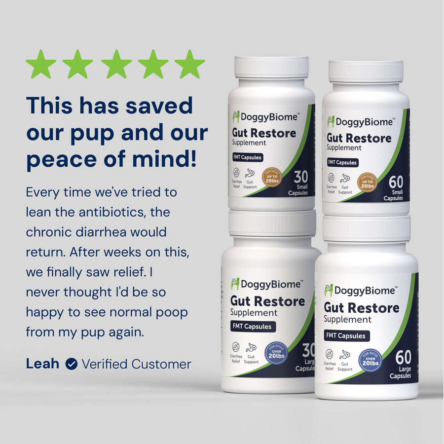Gut Restore Supplement for Dogs – AnimalBiome