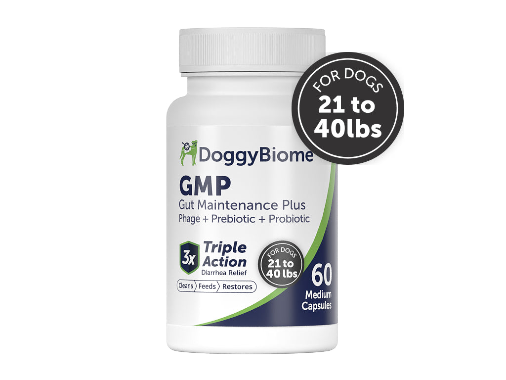GMP for Dogs – AnimalBiome