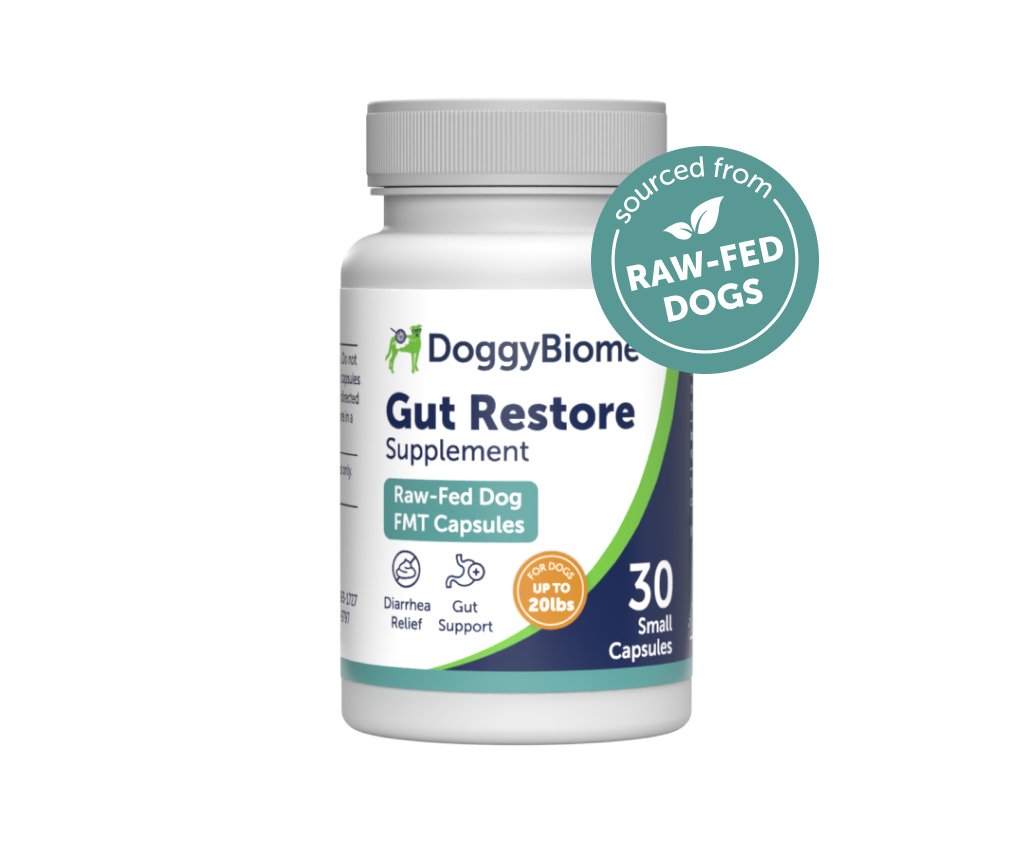 Gut Restore Supplement from Raw-Fed Dogs – AnimalBiome