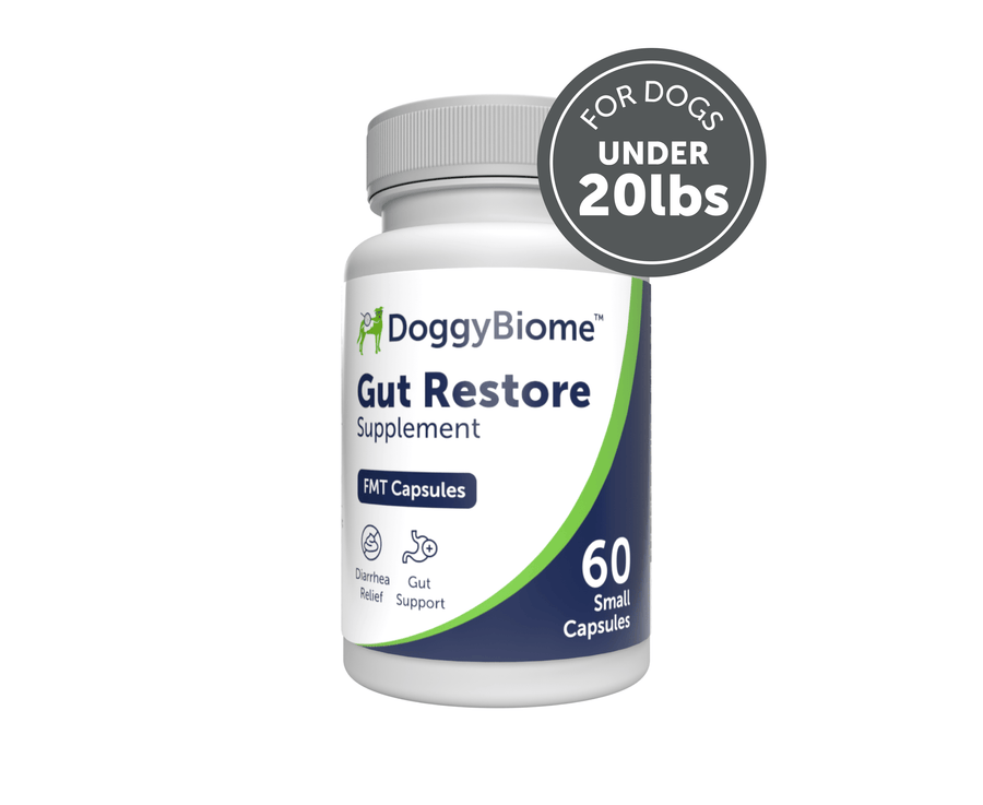 DoggyBiome™ Gut Restore Supplement from Standard Diet-Fed Dogs ...