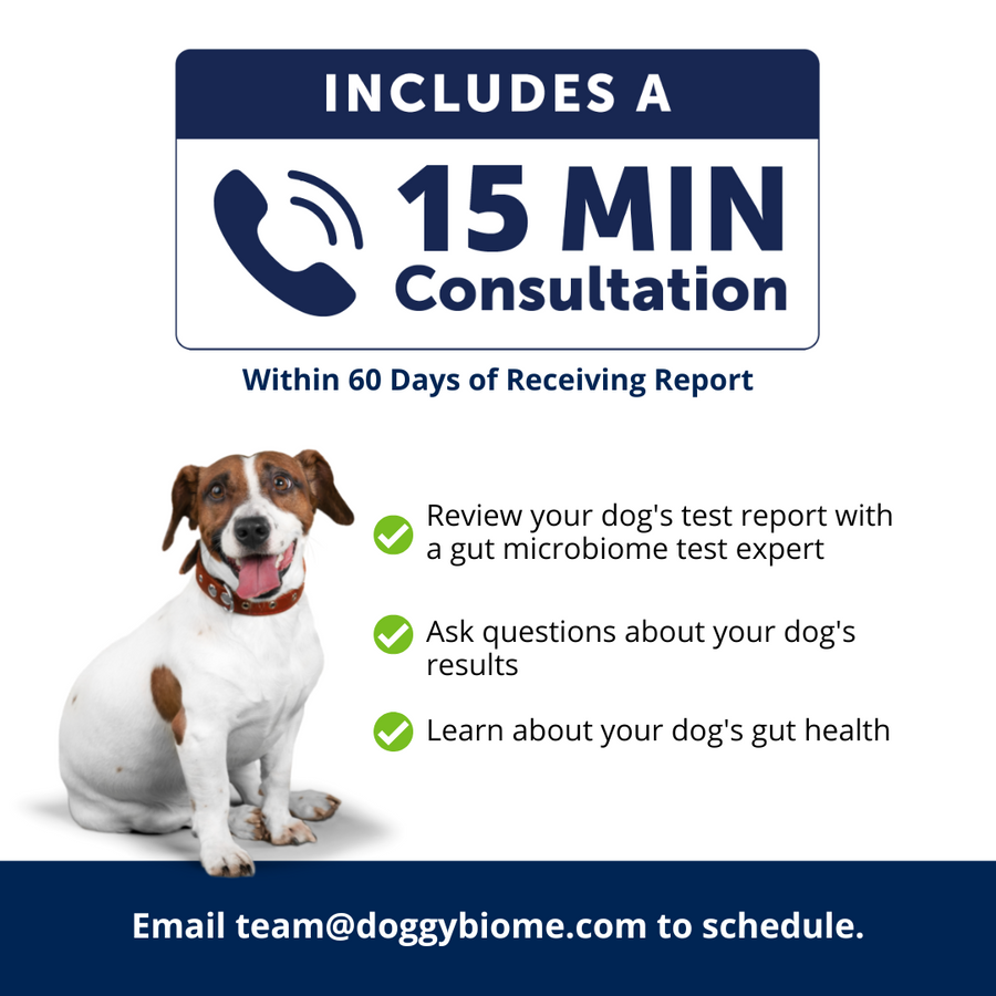 Gut Health Test for Dogs – AnimalBiome